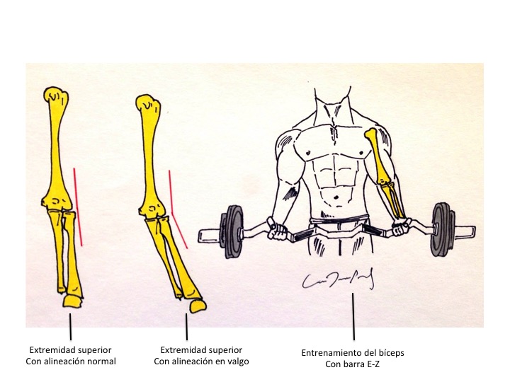 Entrenamiento en gimnasio